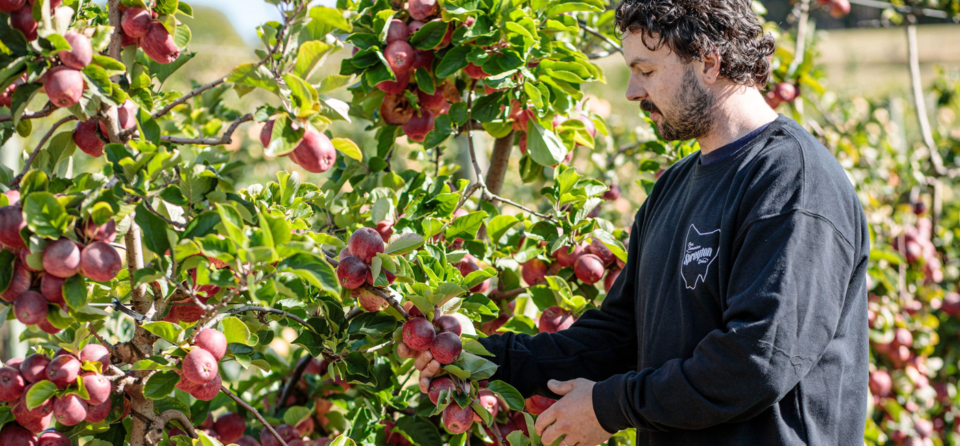 Client story: Michelle Distill, Spreyton Fresh - Achmea Australia